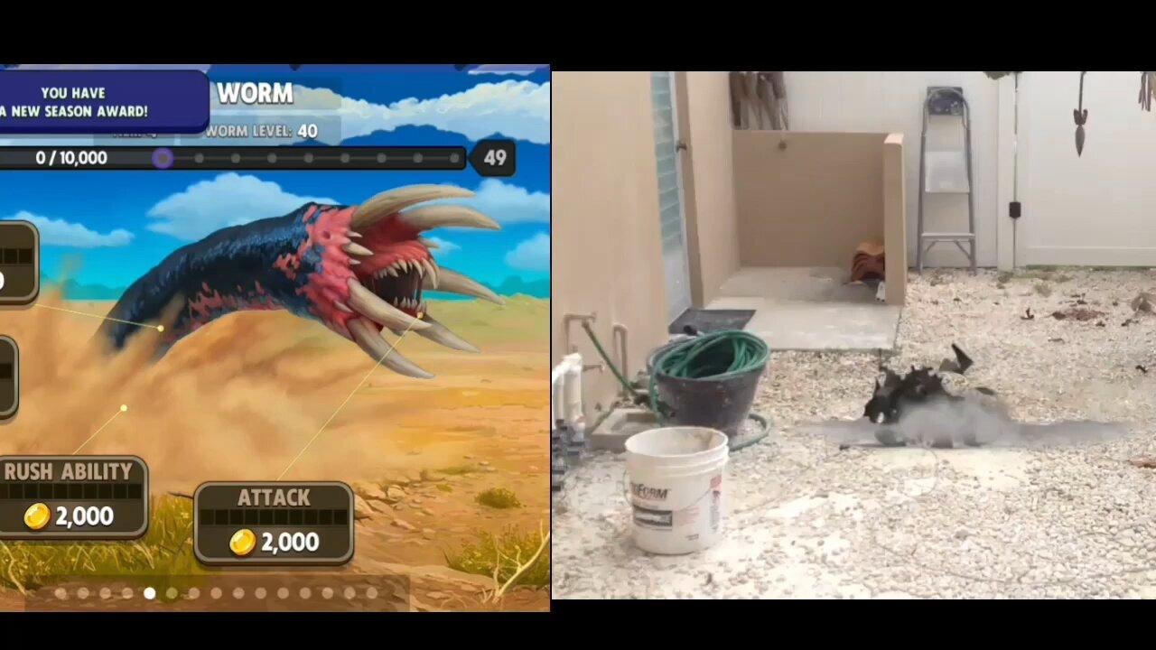 DEATH WORM 🐛 IN REAL LIFE - Death Worm - One News Page VIDEO