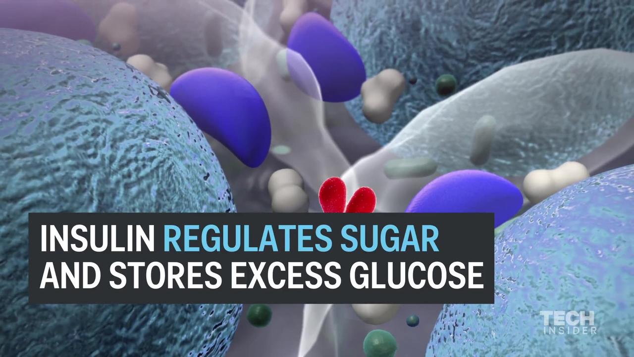 What Happens If You Stop Eating Sugar | The - One News Page VIDEO