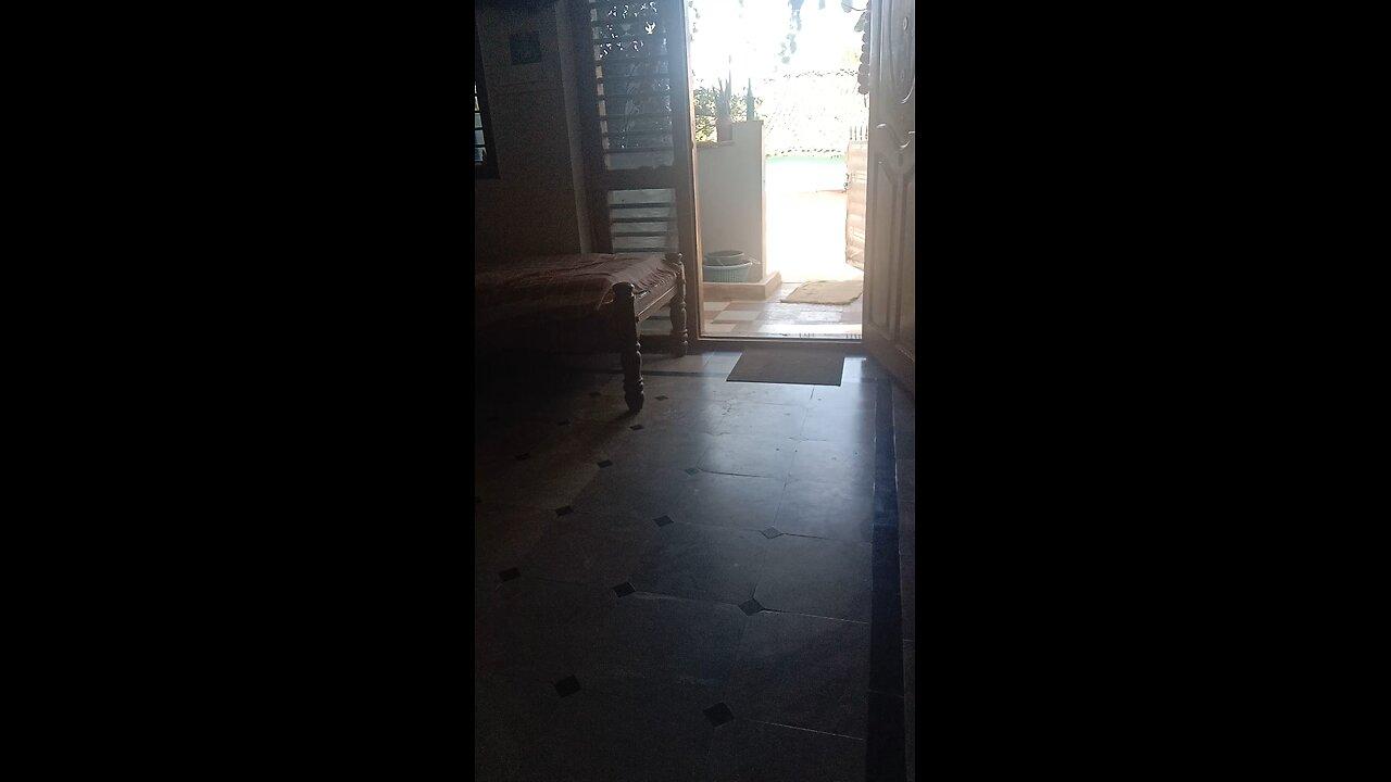 my first video on rumble - One News Page VIDEO