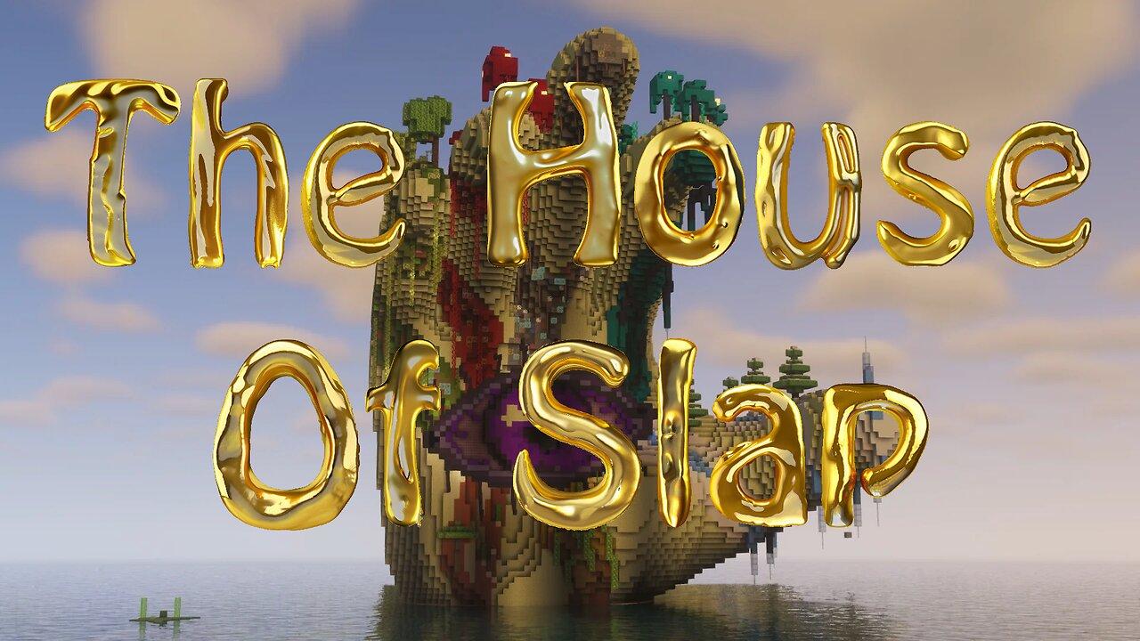 The House of Slap SMP - One News Page VIDEO