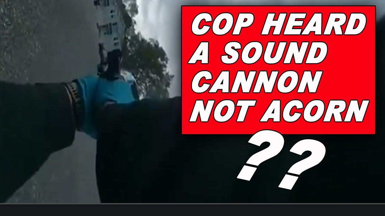 Cop Did NOT Hear an ACORN but an ACOUSTIC - One News Page VIDEO