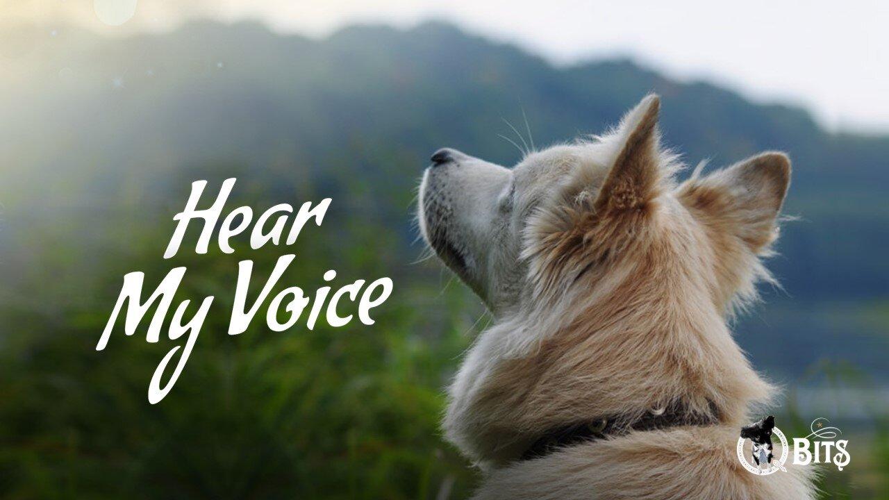#832 // HEAR MY VOICE - LIVE - One News Page VIDEO