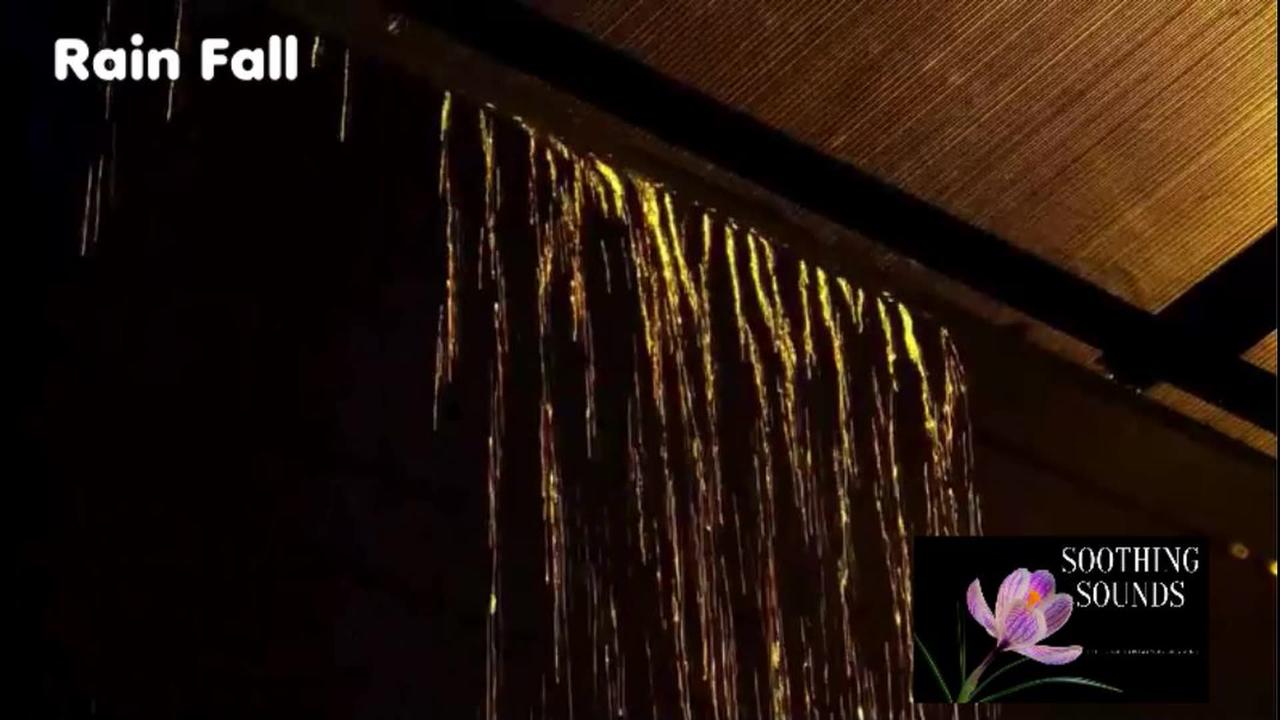 Rain Fall (For Relaxation) - One News Page VIDEO