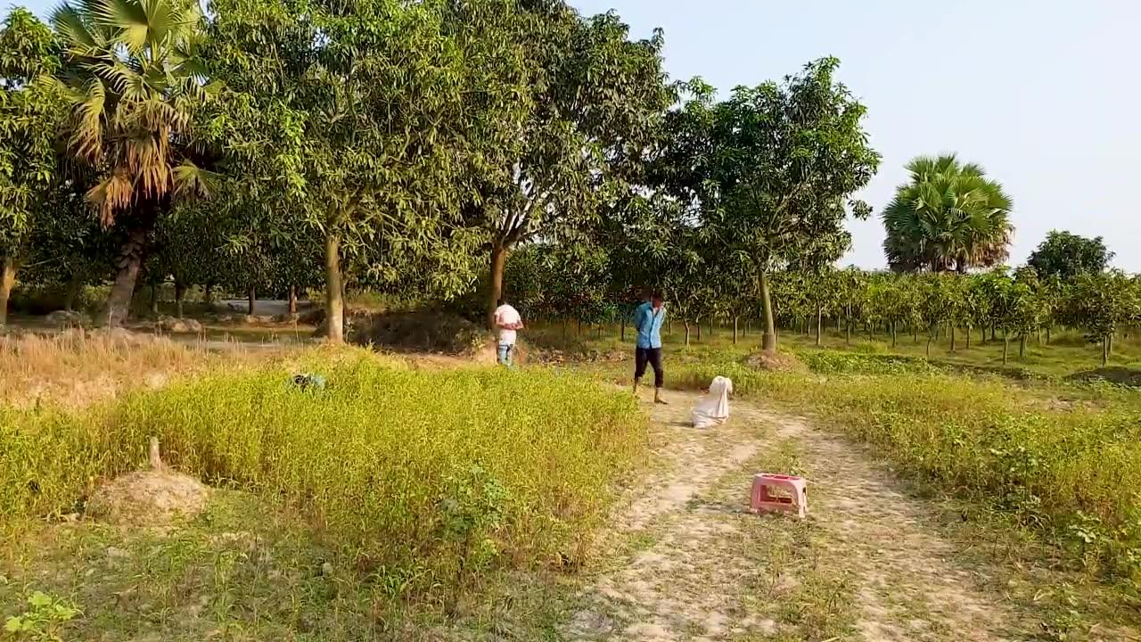 Cky192 Watch New Funny Comedy Videos Fun Ltd - - One News Page VIDEO