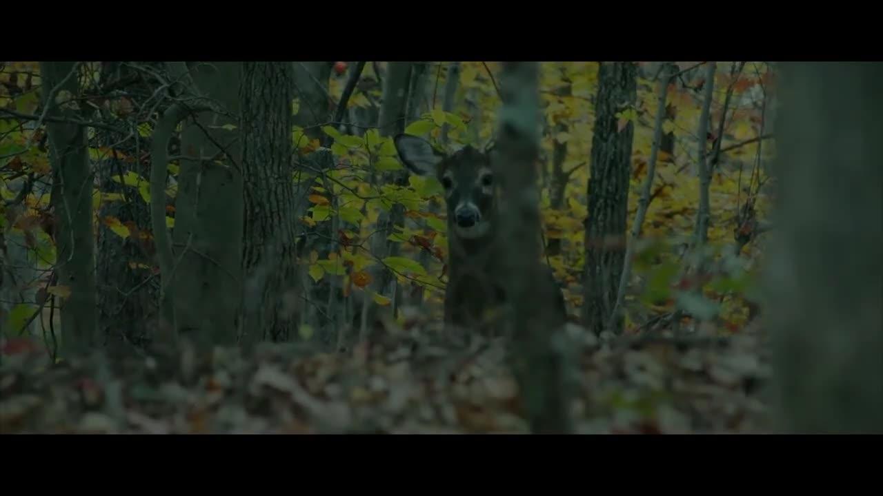 The Desiring Official Trailer (2021) - Joseph - One News Page VIDEO