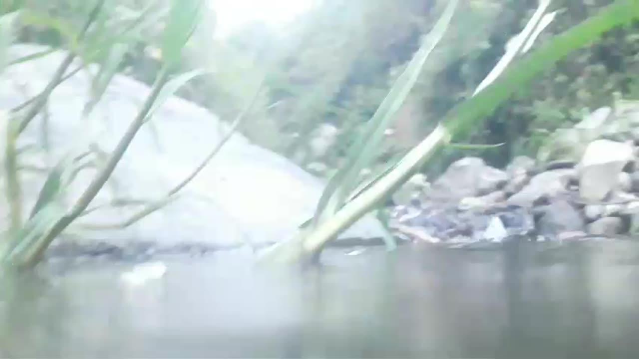 The magic river of the countryside - One News Page VIDEO