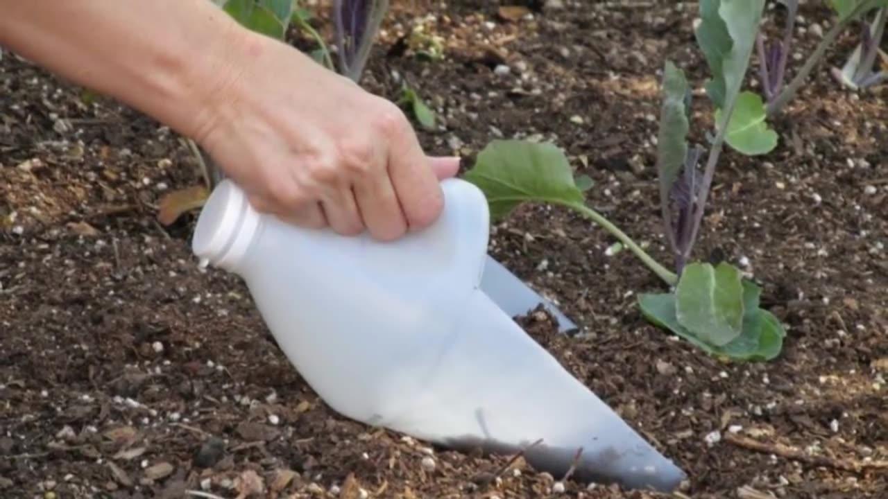 9 Genius Ways To Reuse Old Plastic Bottles - One News Page VIDEO