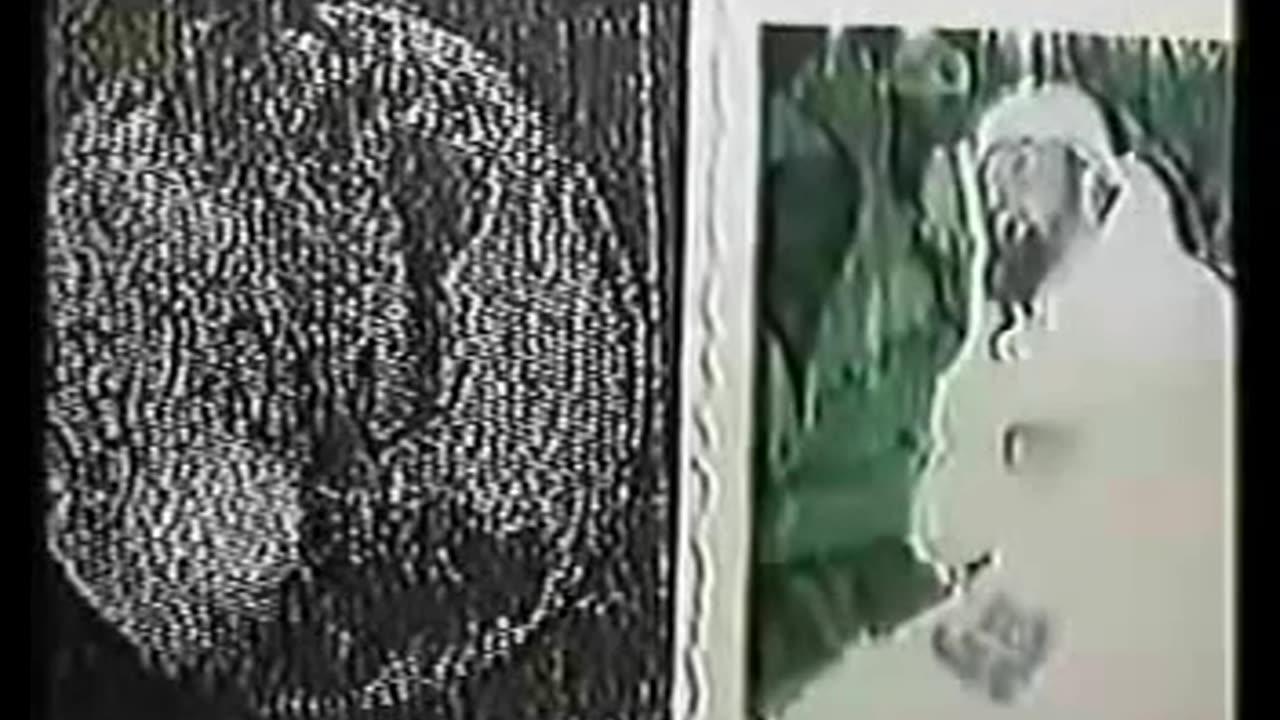 Introduction of His Holiness Riaz Ahmed Gohar - One News Page VIDEO