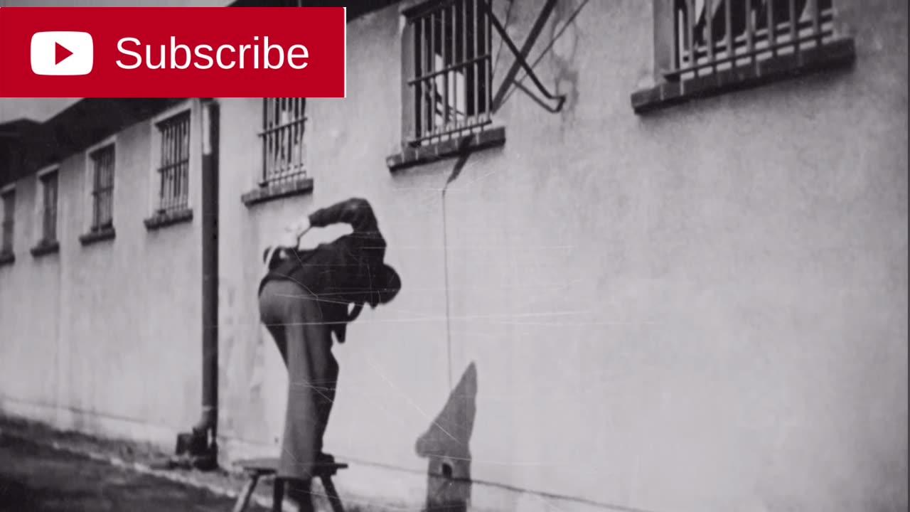 Adolf Hitlers SS The Private Army - One News Page VIDEO