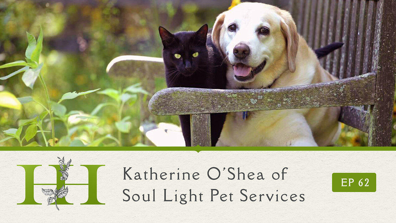 Katherine O’Shea of Soul Light Pet Services - - One News Page VIDEO