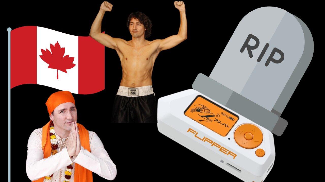 R.I.P Flipper Zero in Canada :,( - One News Page VIDEO