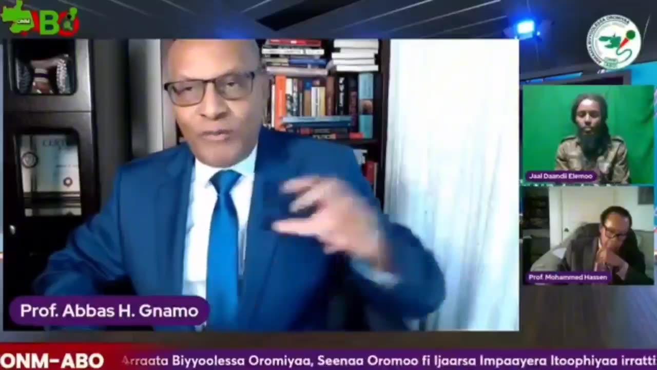 February 29, 2024 - One News Page VIDEO