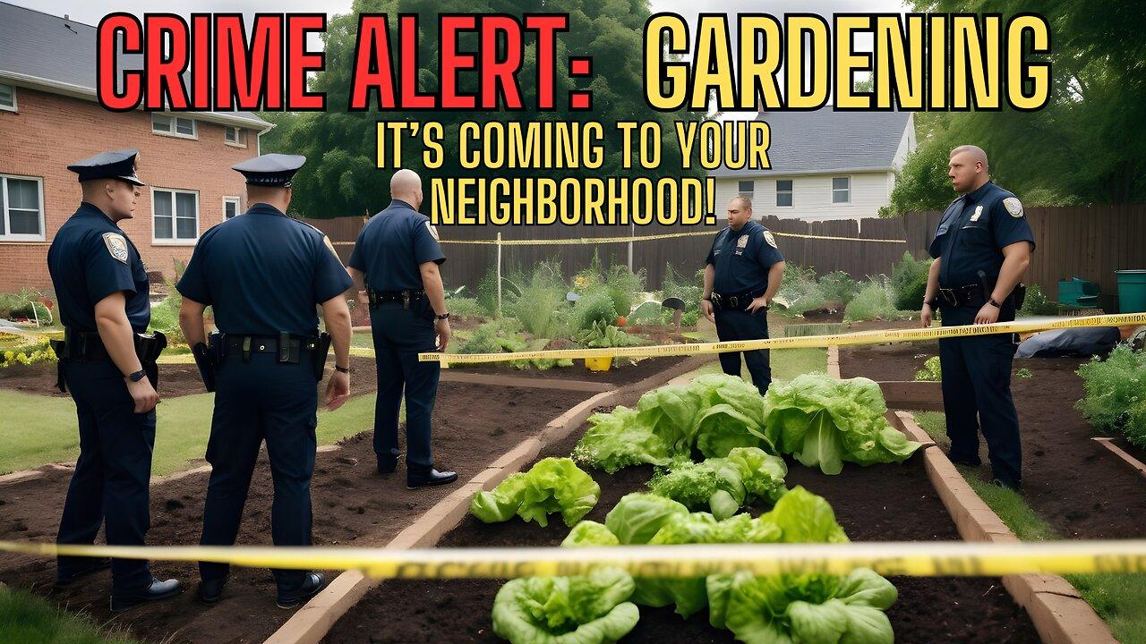 CRIME ALERT: Gardening Becoming Illegal? - One News Page VIDEO
