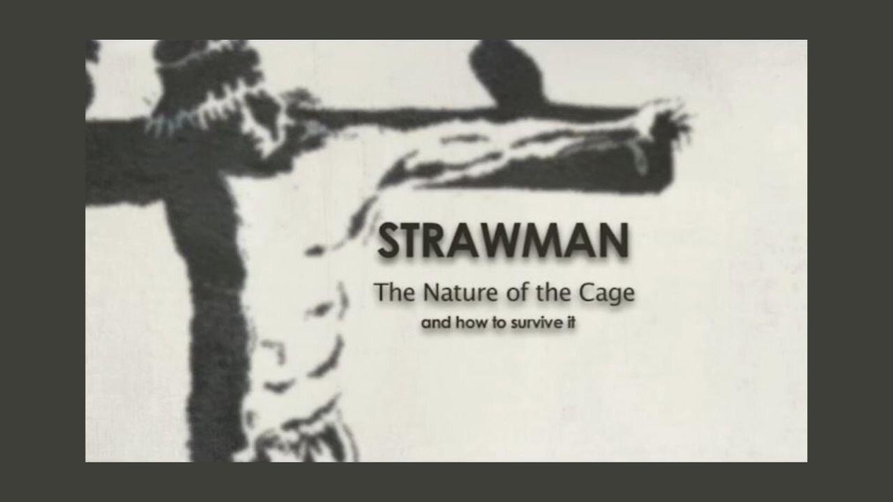 Strawman - The Nature of the Cage and How to - One News Page VIDEO
