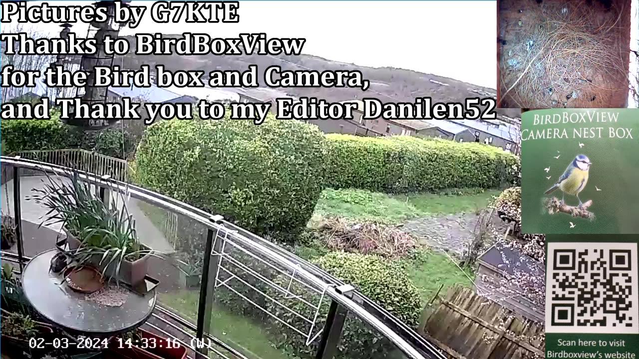 Saint Mary's cove Brixham UK, and bird Box - One News Page VIDEO