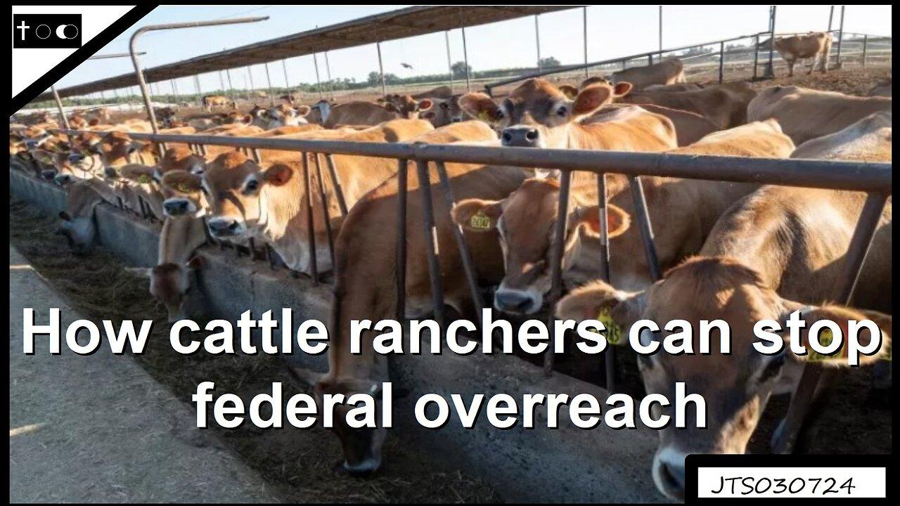 How cattle ranchers can stop federal overreach - - One News Page VIDEO