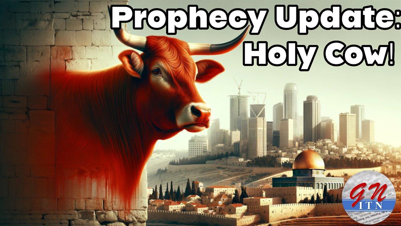 GNITN: Holy Cow! - One News Page VIDEO
