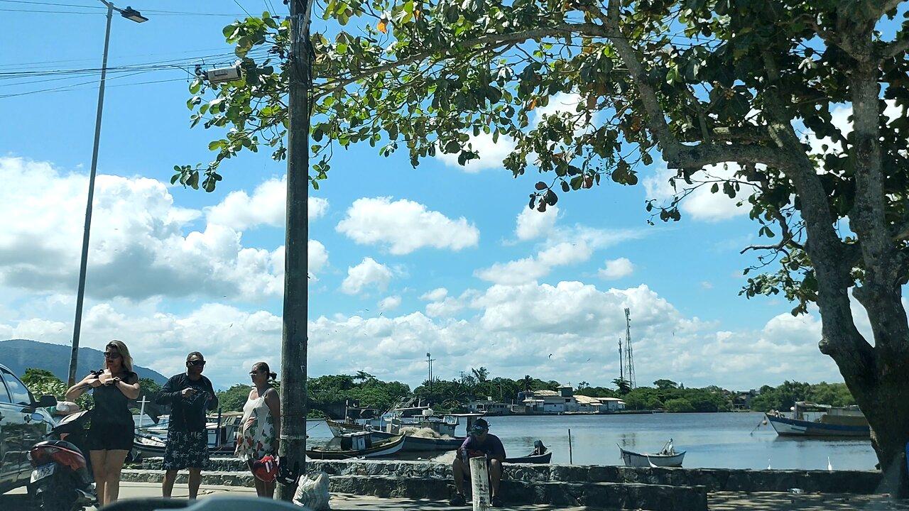 Exploring Rural Brazil: Cattle Ranches, - One News Page VIDEO