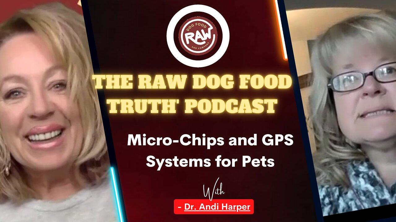 Micro-Chips and GPS Systems for Pets - One News Page VIDEO