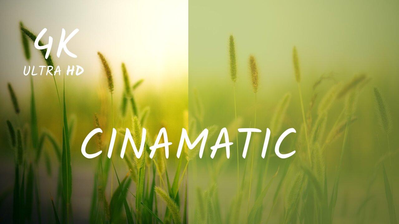 Nature's Canvas in 4K: Cinematic - One News Page VIDEO