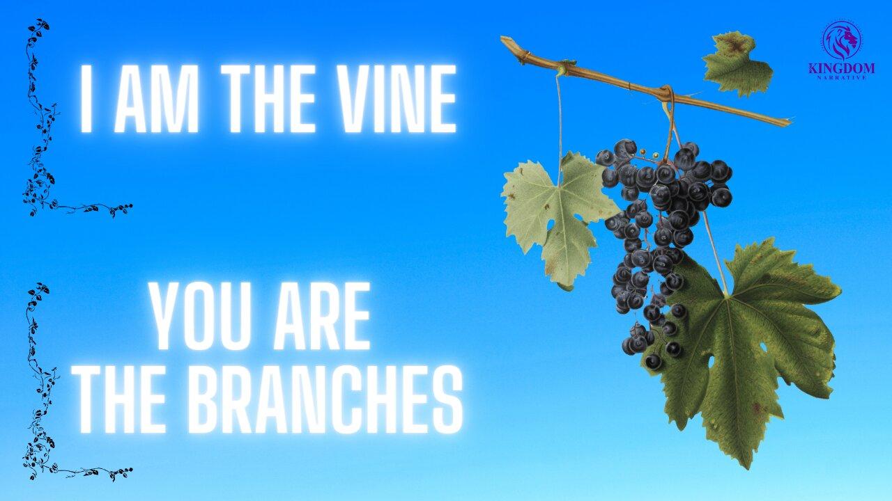 I Am The Vine You Are The Branches - One News Page VIDEO