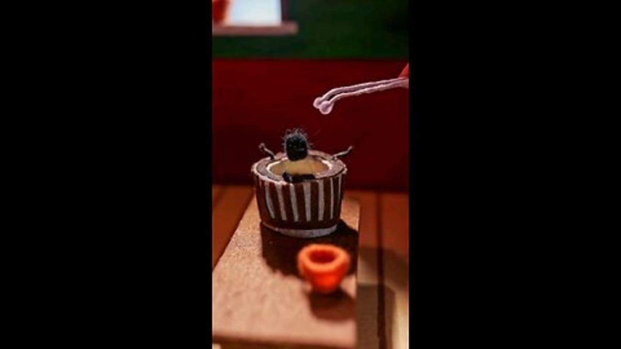 Stop motion animation episode 13 - One News Page VIDEO