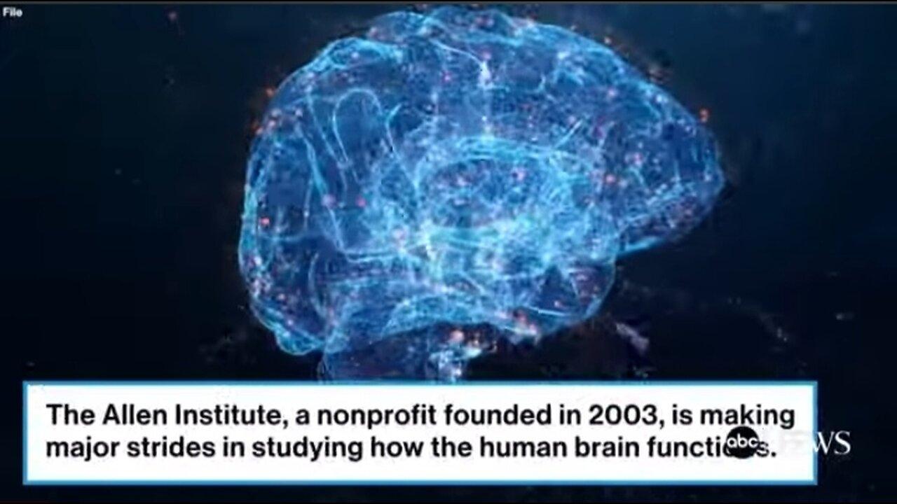 How This Nonprofit is advancing human brain cell - One News Page VIDEO
