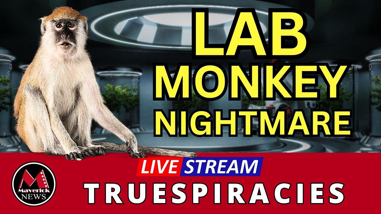 Lab Monkey Nightmare In Georgia | Truespiracies - One News Page VIDEO