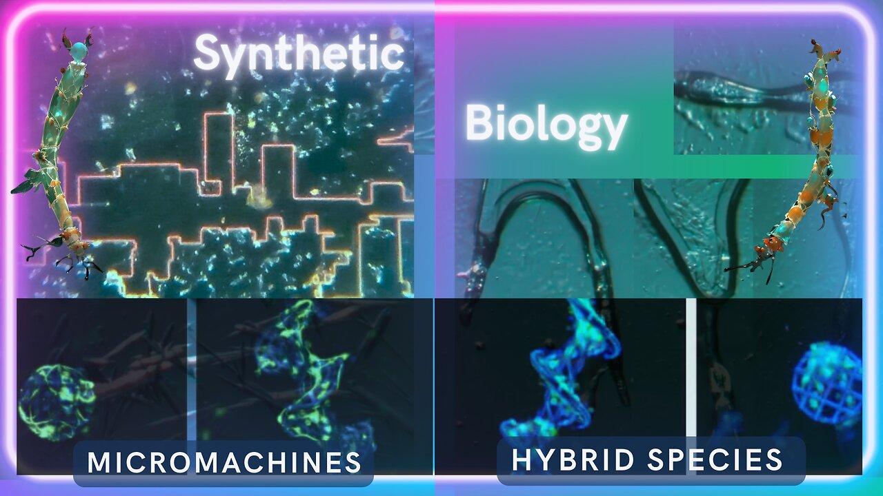 STOP GAIN OF FUNCTION RESEARCH - SEIZE ALL VIALS - One News Page VIDEO