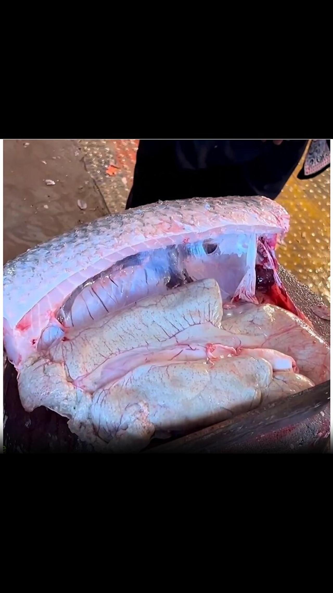 Beautiful Rohu Fish Cutting Skills Fish Market - One News Page VIDEO