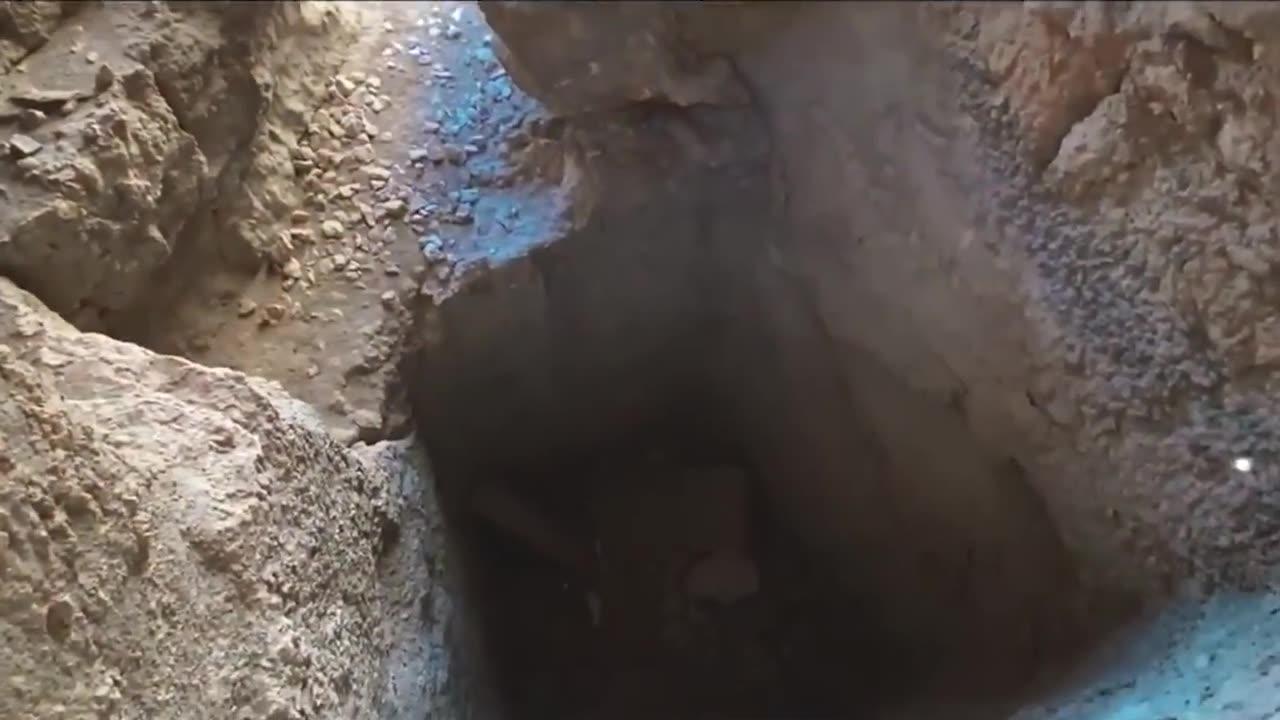 This 10,000 Year Old BANNED Text Reveals A - One News Page VIDEO