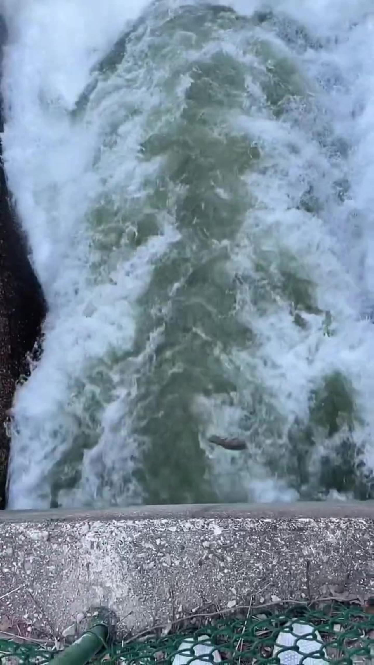 Lock inCredit Rocky Spund credit on IG mindset - One News Page VIDEO