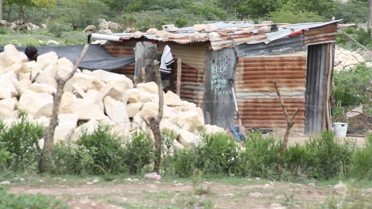 Legendary Canines: Unveiling the Tales of Famous - One News Page VIDEO