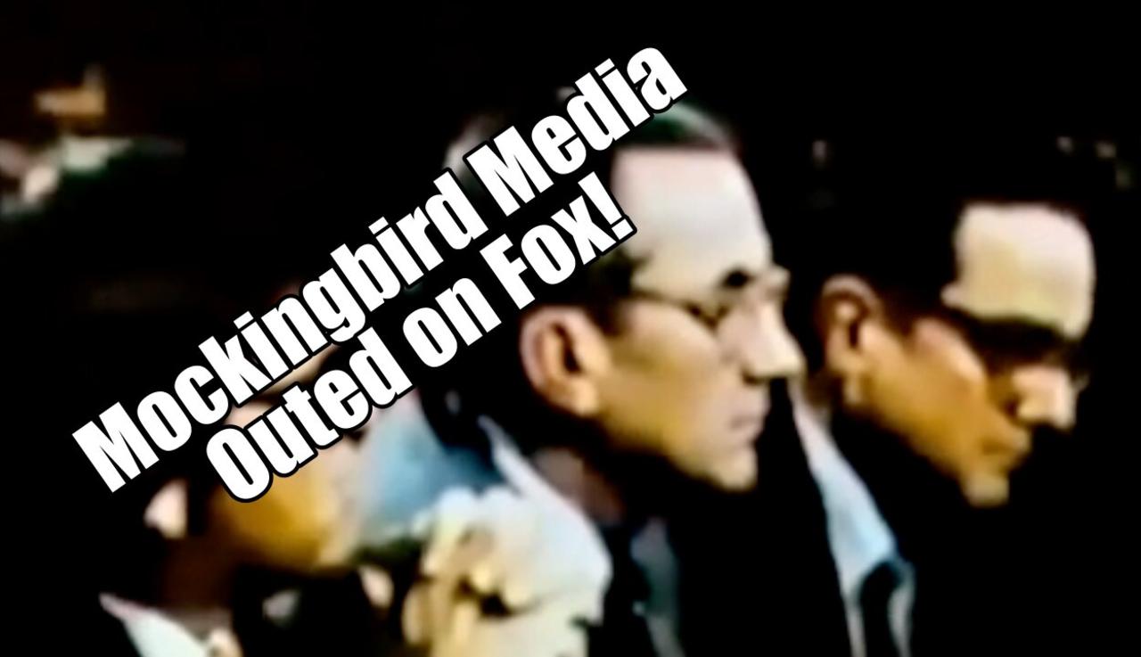 Mockingbird Media Outed on Fox! Meri Crouley - One News Page VIDEO