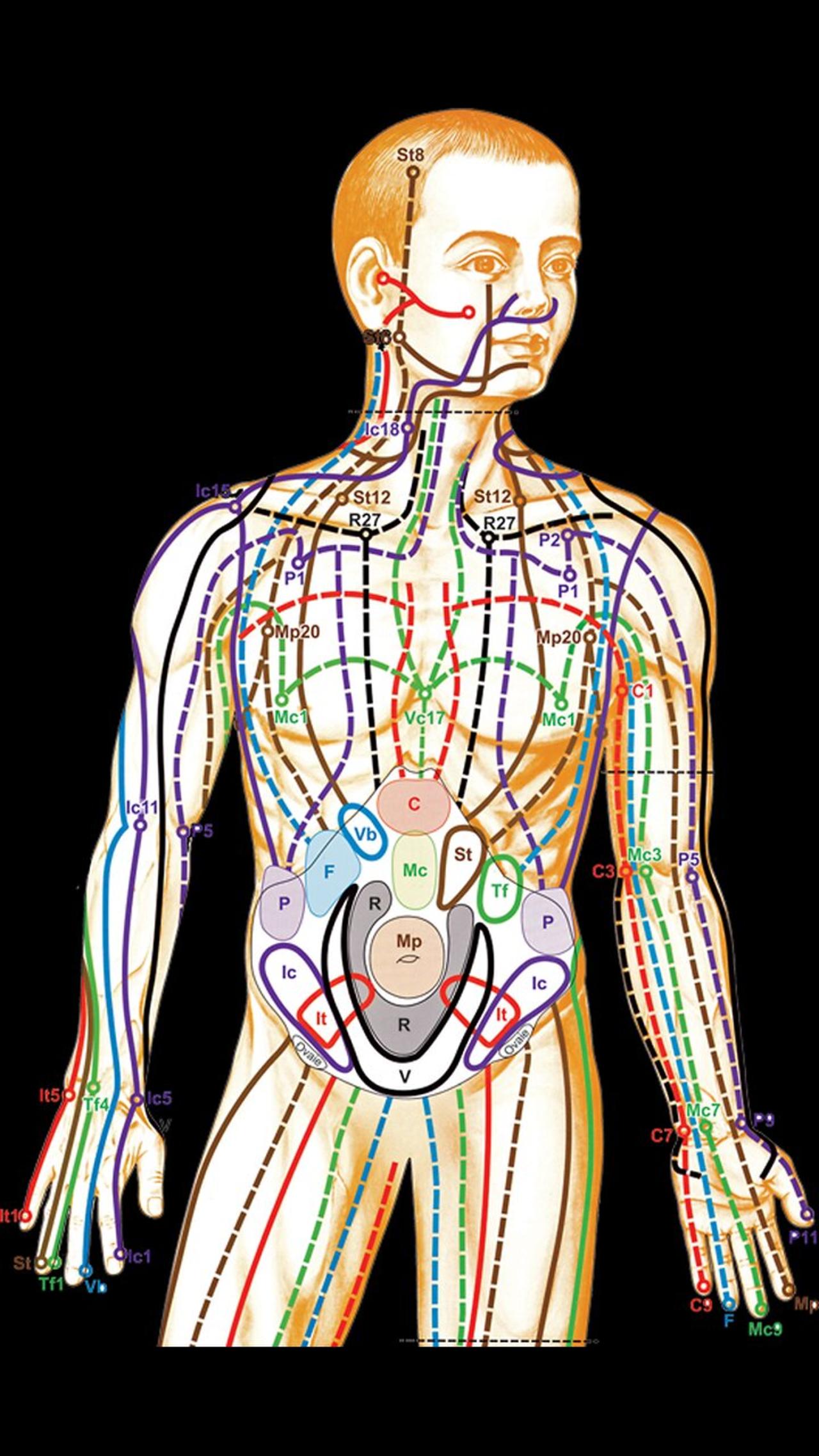 Unblocking Energy ~ Acupressure and Meridians - One News Page VIDEO