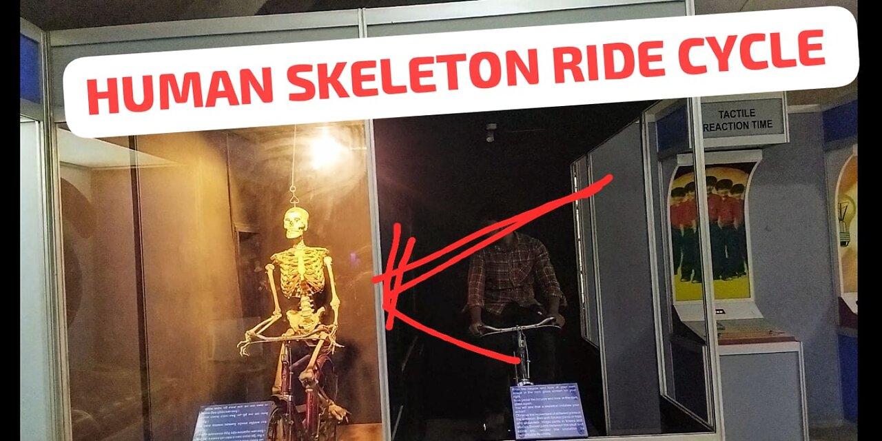 Human skeleton ride cycle, amazing science - One News Page VIDEO