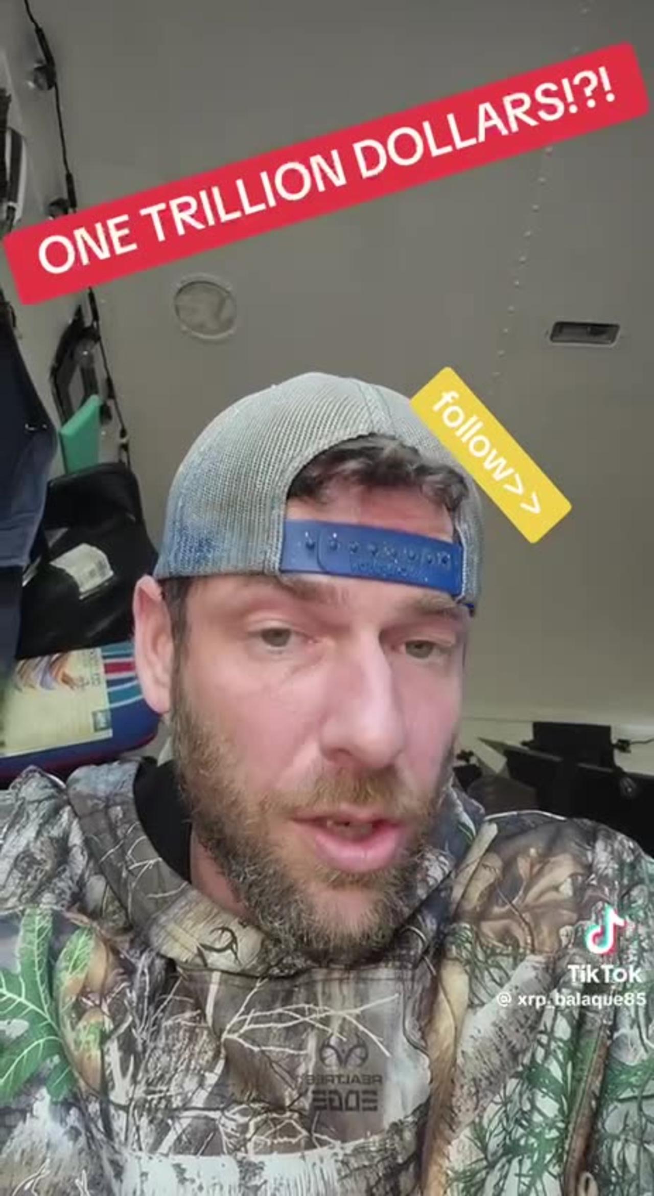 Baltimore Bridge and Larry - One News Page VIDEO