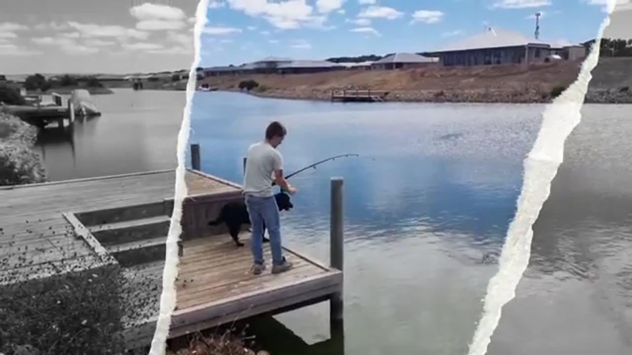 Within minutes of throwing the live, a catch! - One News Page VIDEO