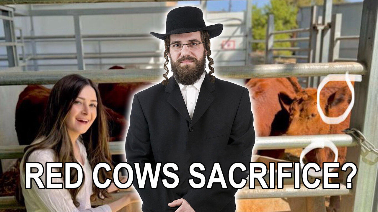 LIVE SHOW: Lets Look into the Apocalyptic Red - One News Page VIDEO