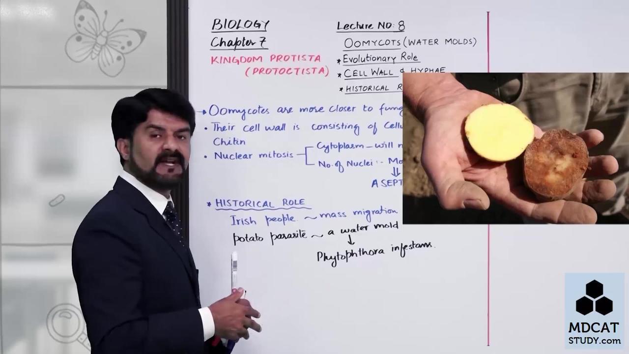 LEC#9 FUNGUS LIKE PROTISTS (WATER MOLDS - One News Page VIDEO