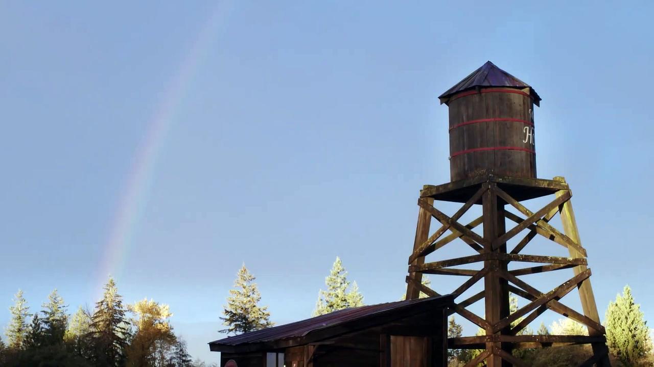 When Calls the Heart S11E02 Tomorrow Never Knows - One News Page VIDEO