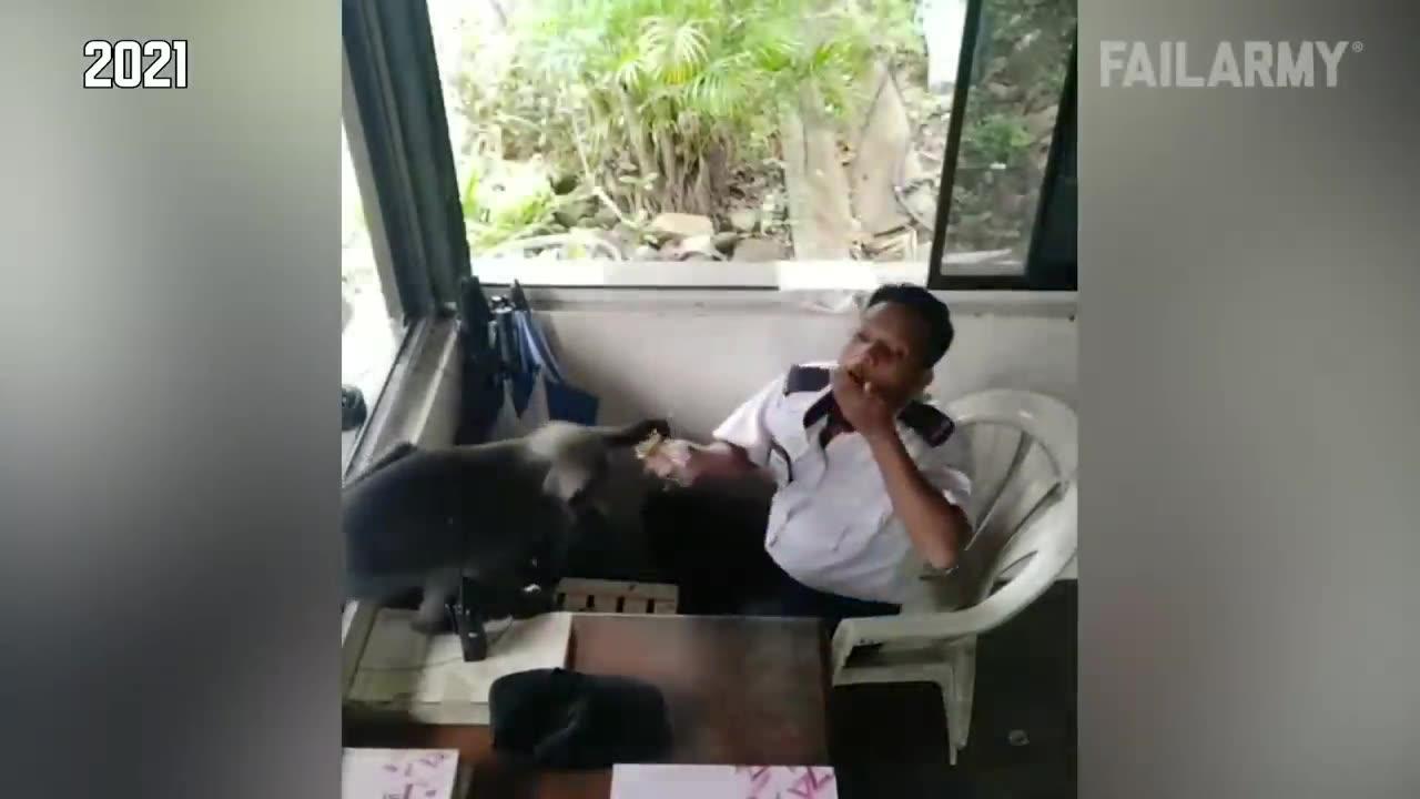 Best Fails of All Time! Try Not to Laugh - One News Page VIDEO