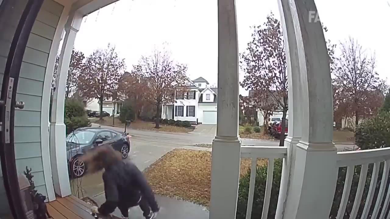 Best CCTV fails of 2023 - One News Page VIDEO