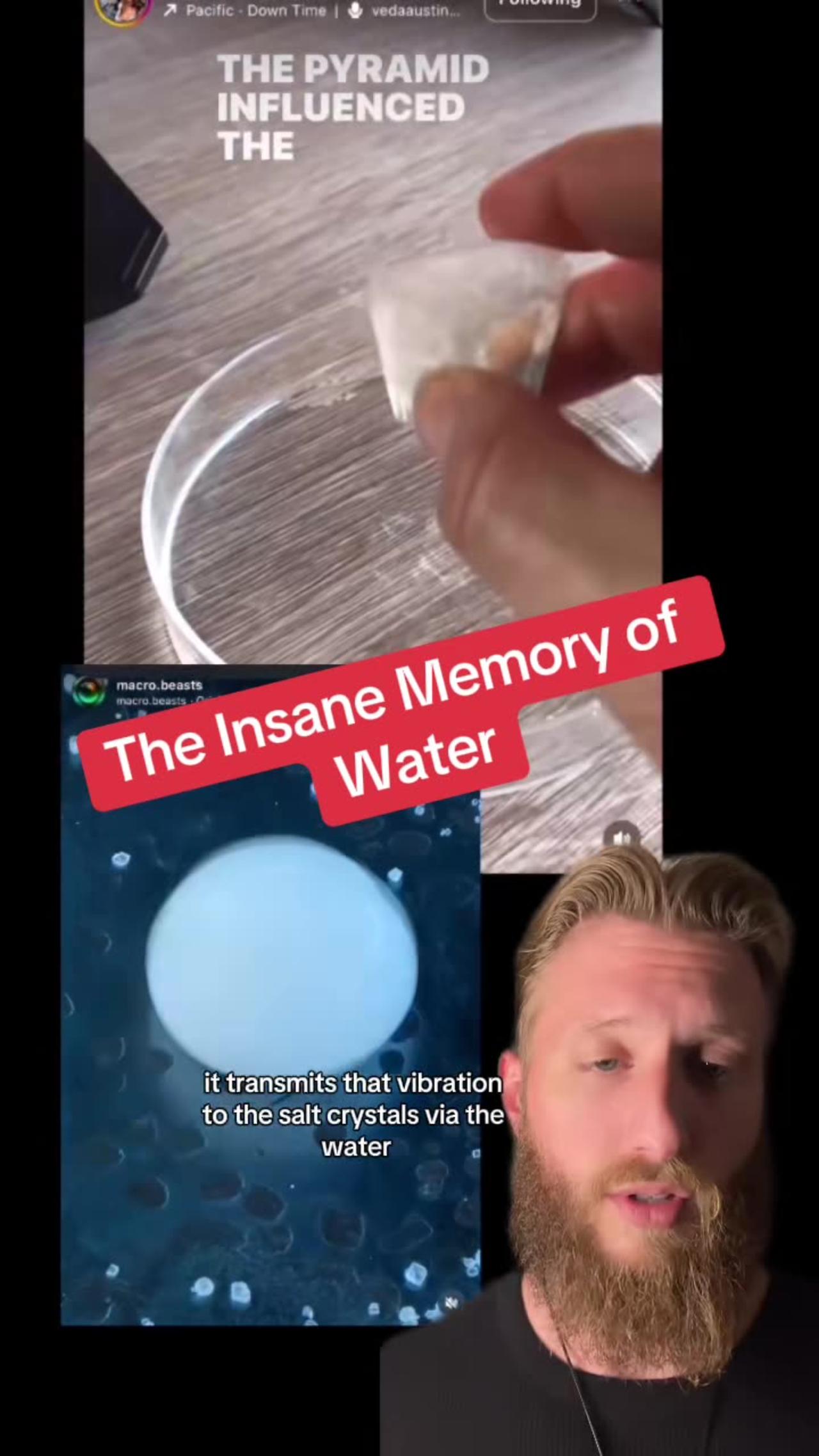 Water memory is incredible. - One News Page VIDEO