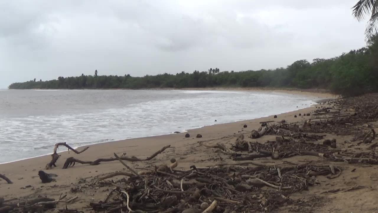 Waimea, HI — Pakala Beach - One News Page VIDEO