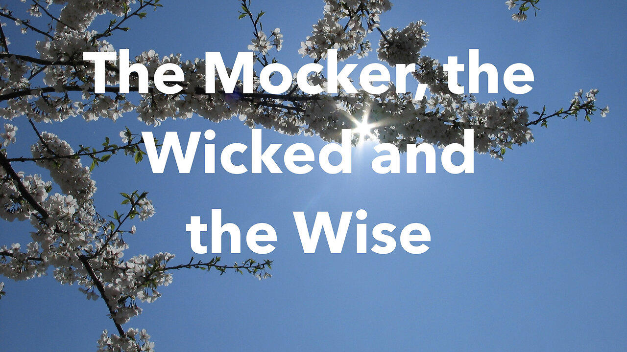 The Mocker, The Wicked And The Wise. Proverbs - One News Page VIDEO
