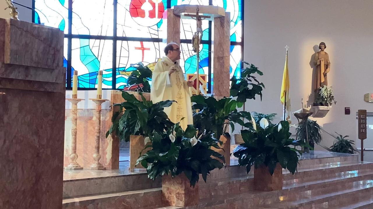 Father Martin Dunne Homily April 21, 2024 - One News Page VIDEO