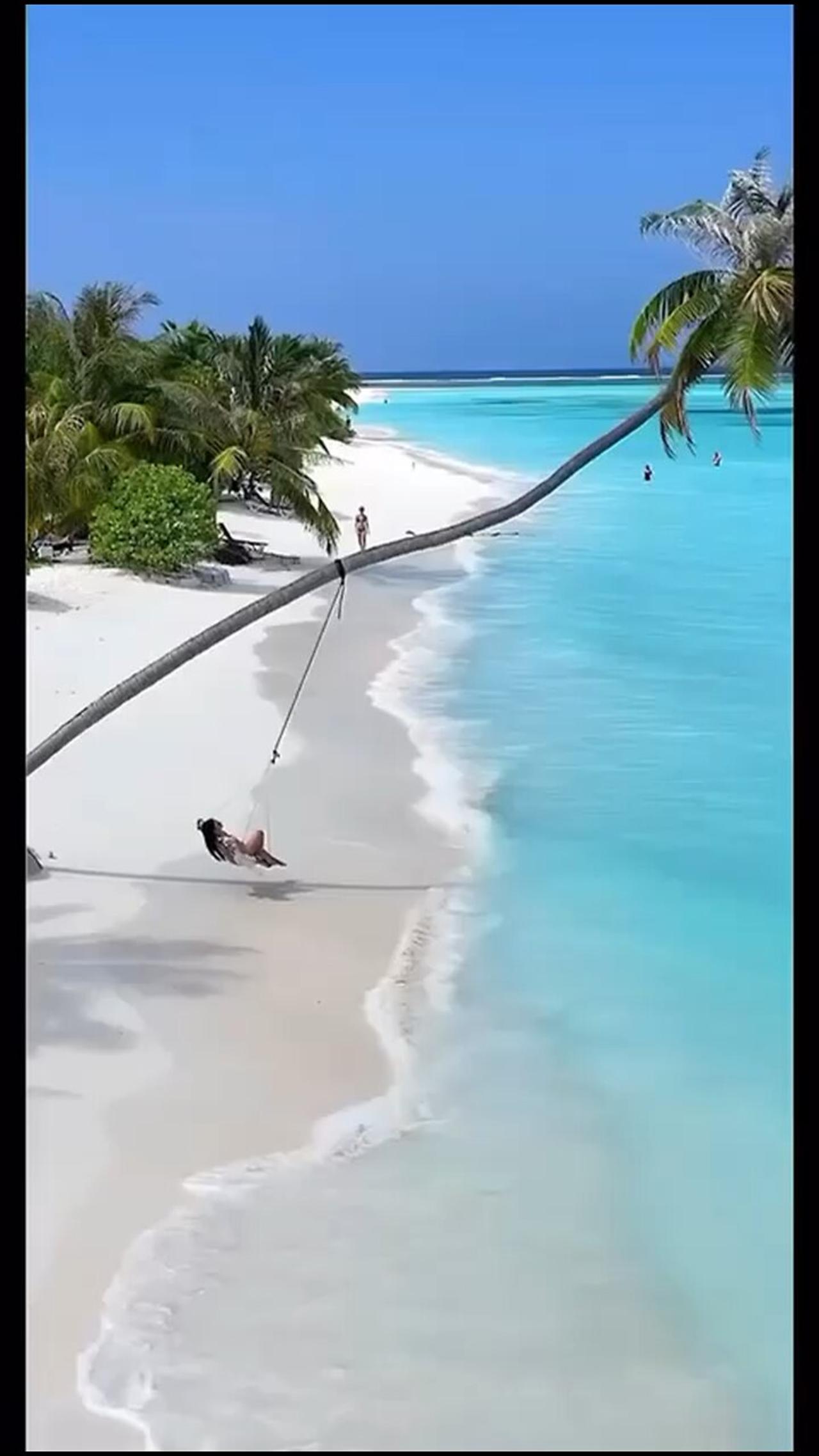 Listen and look - One News Page VIDEO