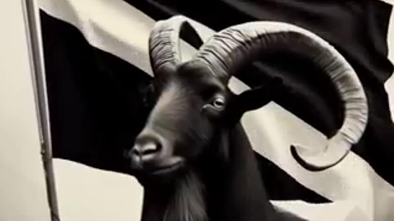 Wednesday Night in the Imaginary Diagolon - One News Page VIDEO