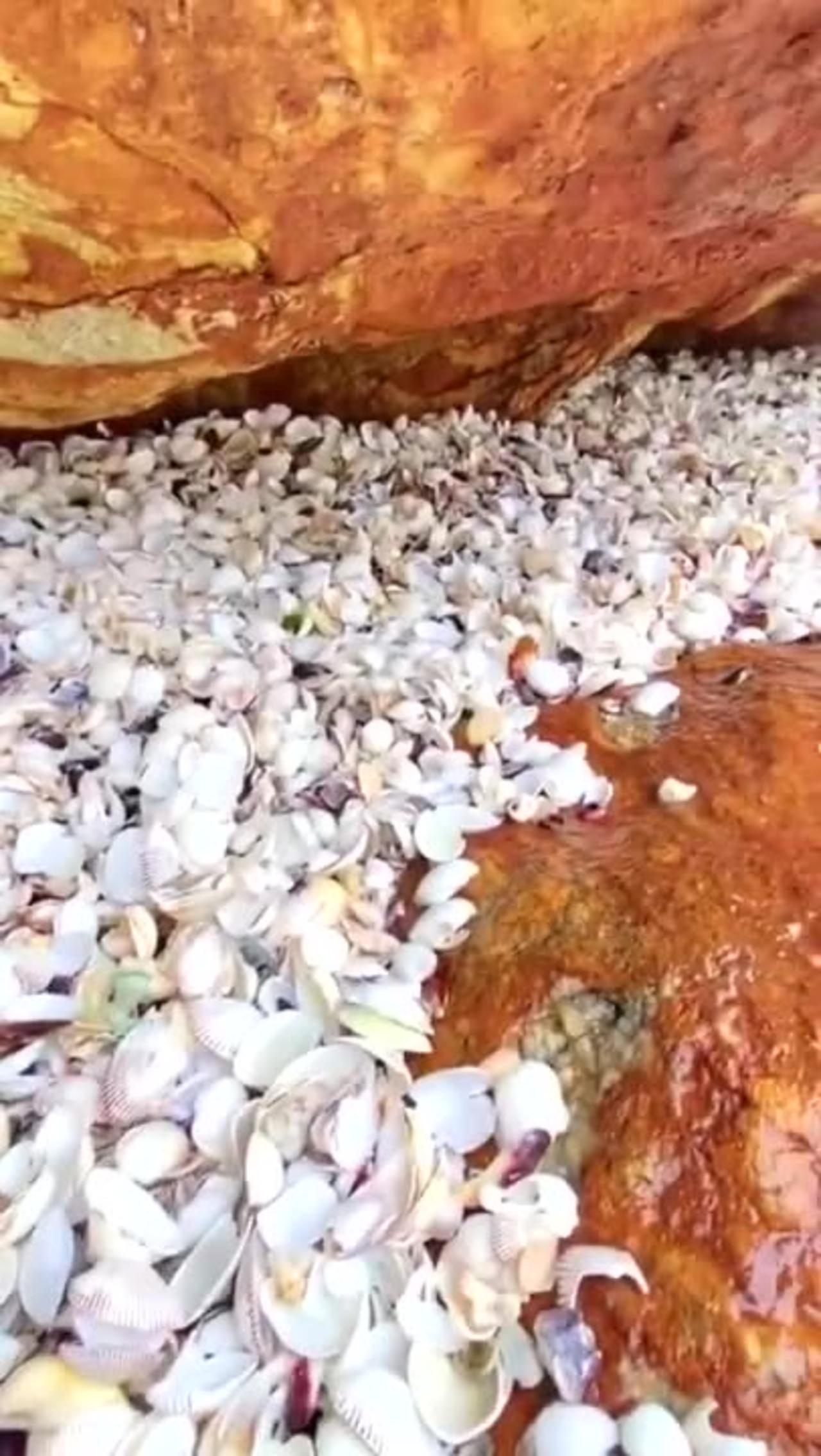 Unbelievable Places, Top Nature Places, Viral - One News Page VIDEO Unbelievable Places, Top Nature Places, Viral - One News Page VIDEO